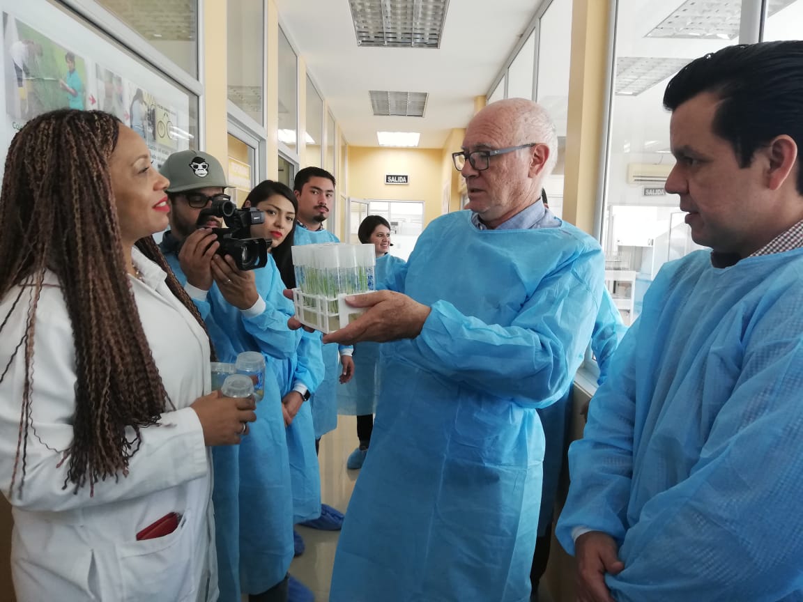 “Innovación es el camino al desarrollo”: José Amauri Buso, investigador ...