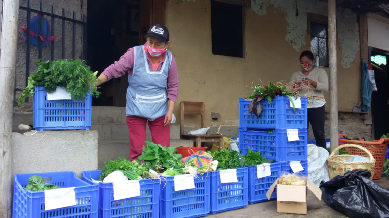 MAG apoya venta de canastas agrícolas a domicilio en Cañar – Ministerio ...
