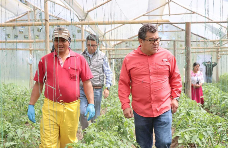 Productores De Otavalo Se Benefician Con Insumos Subvencionados