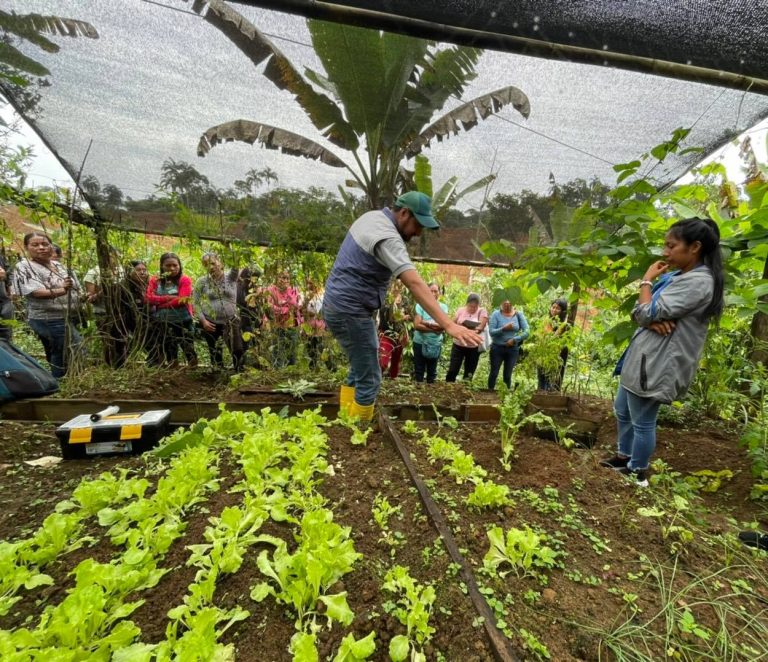 Productores De El Chaco Se Benefician Con Insumos Agrícolas Subsidiados