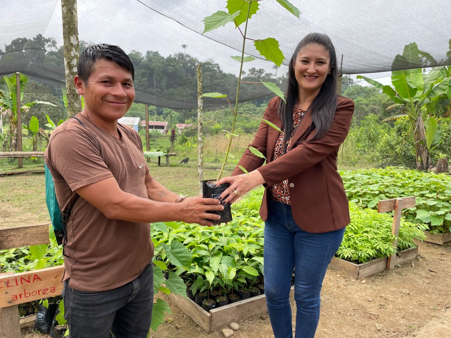 MAG fomenta implementación de viveros comunitarios, como aliados para ...