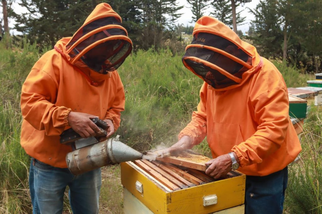 Más de 800 participantes capacitados a nivel nacional mediante la ...