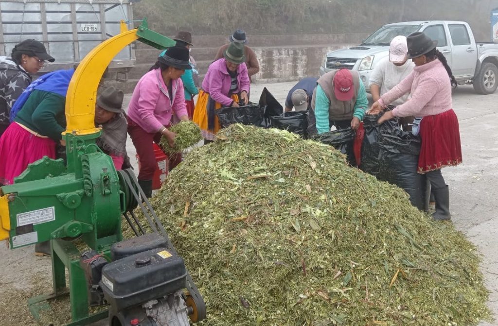 Ganaderos se capacitan en la elaboración de silos, para mejorar la ...